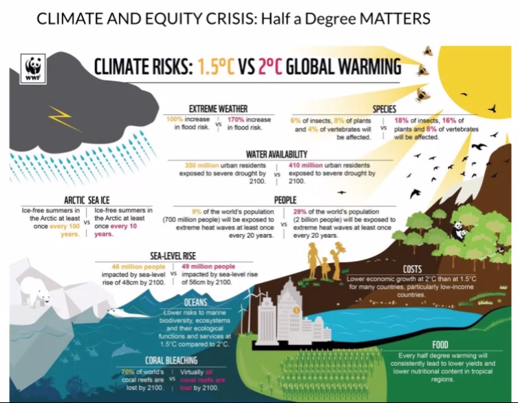 Empowered by Knowledge: My Terra.Do Climate Action Plan